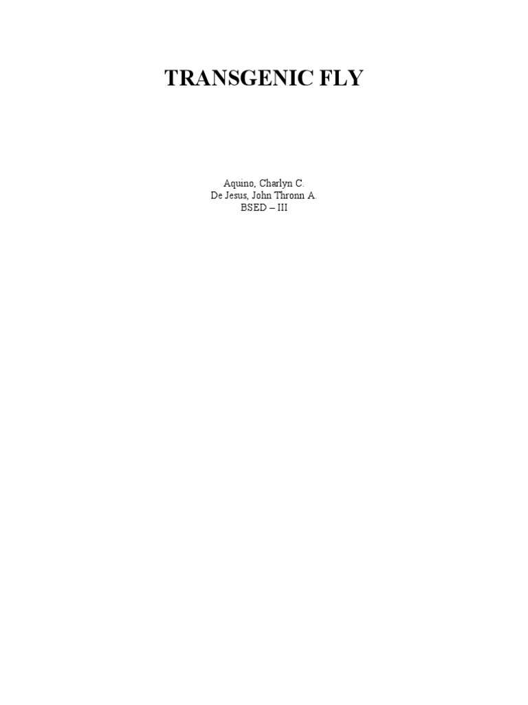 Transgenic Fly (AutoRecovered) | PDF | Promoter (Genetics) | Gene