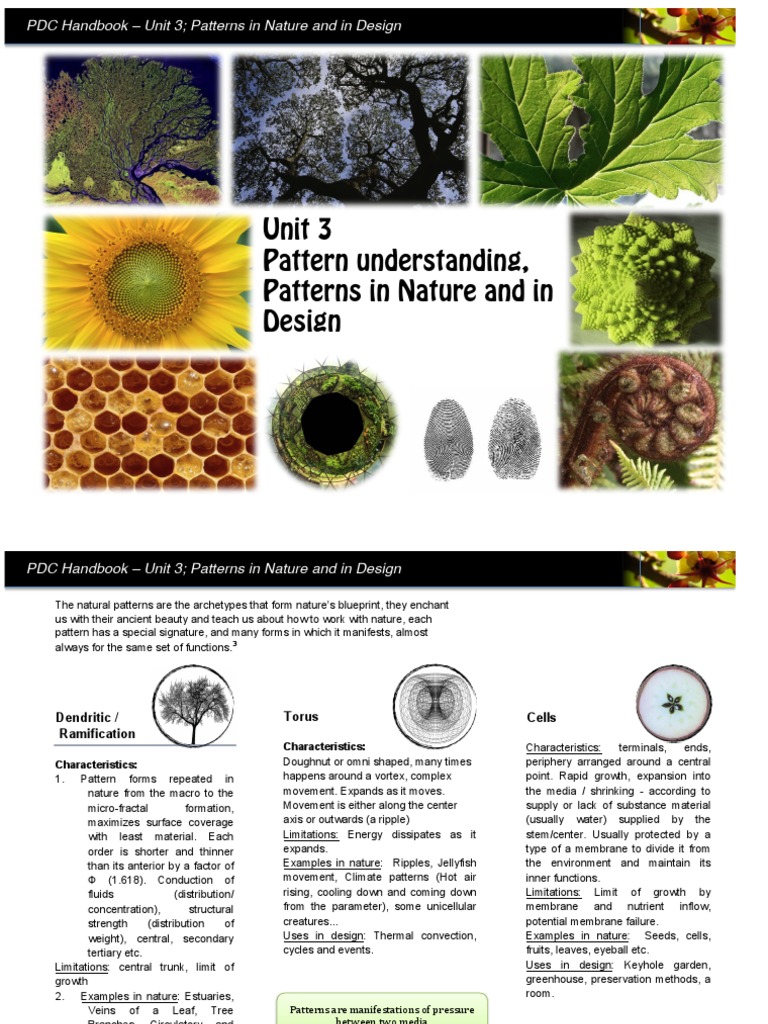 PDC Unit 3 Patterns in Nature PDF | PDF | Permaculture | Nature