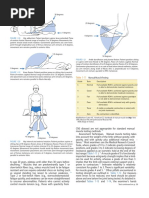 Fugl Meyer Assessment Lower Extremity FMA LE | PDF | Anatomical Terms Of Motion | Human Leg