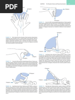 Mankoski Pain Scale | PDF