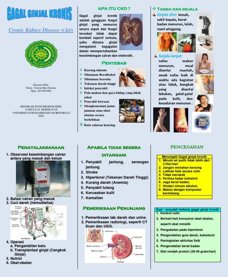 Leaflet CKD Doc | PDF