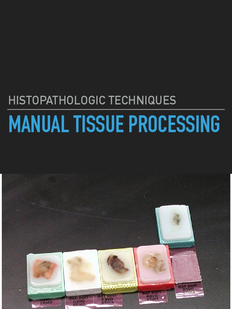 Manual Tissue Processing | PDF | Fixation (Histology) | Microscopy
