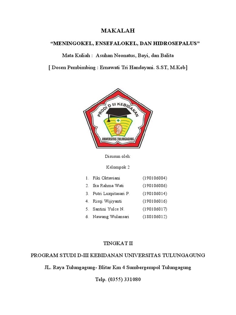 Kelompok 2 Makalah Meningokel, Ensefalokel Dan Hidrosepalus | PDF ...