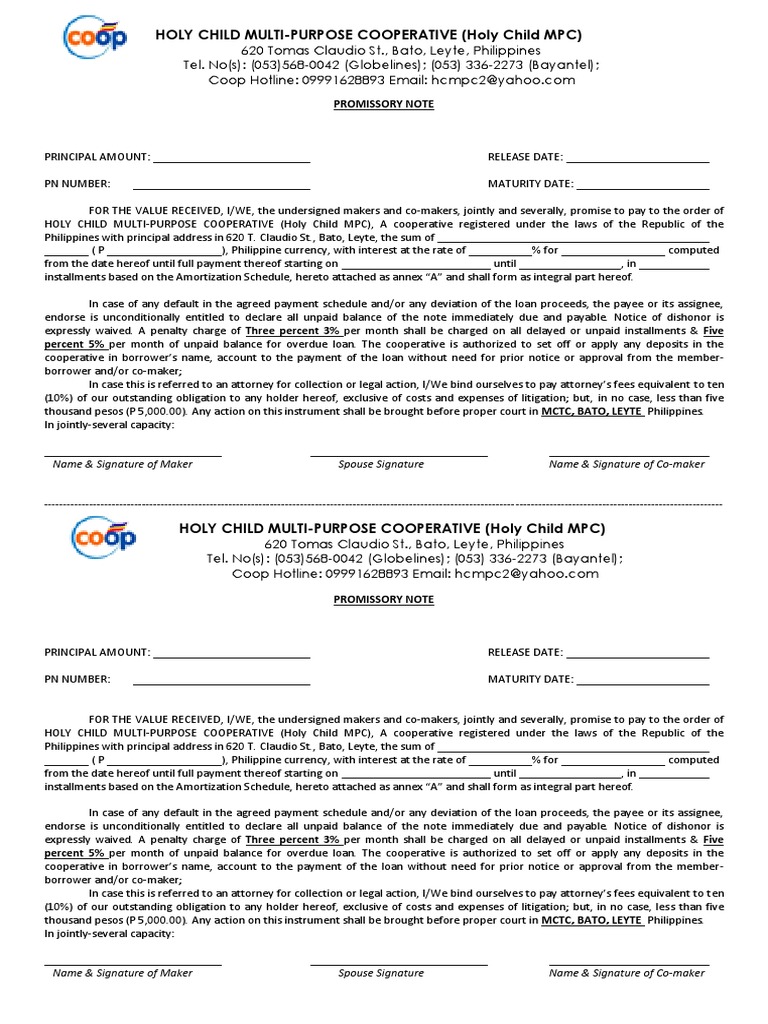 Holy Child Multi-Purpose Cooperative (Holy Child MPC) | PDF ...