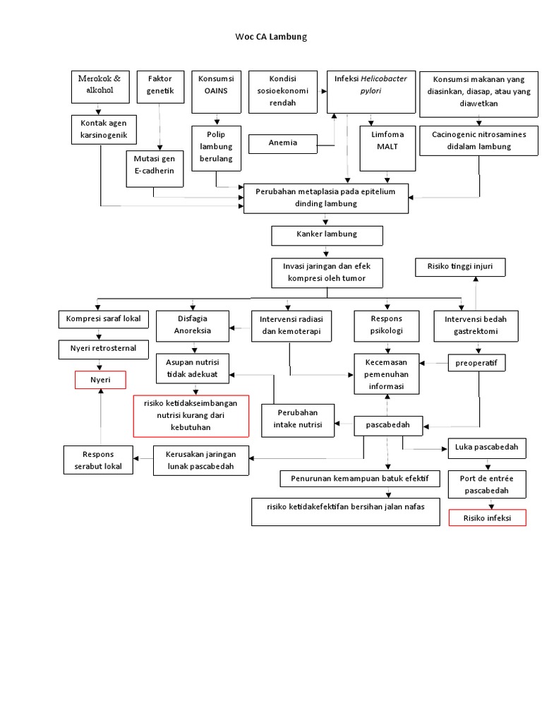 Woc CA Lambung: Pylori | PDF