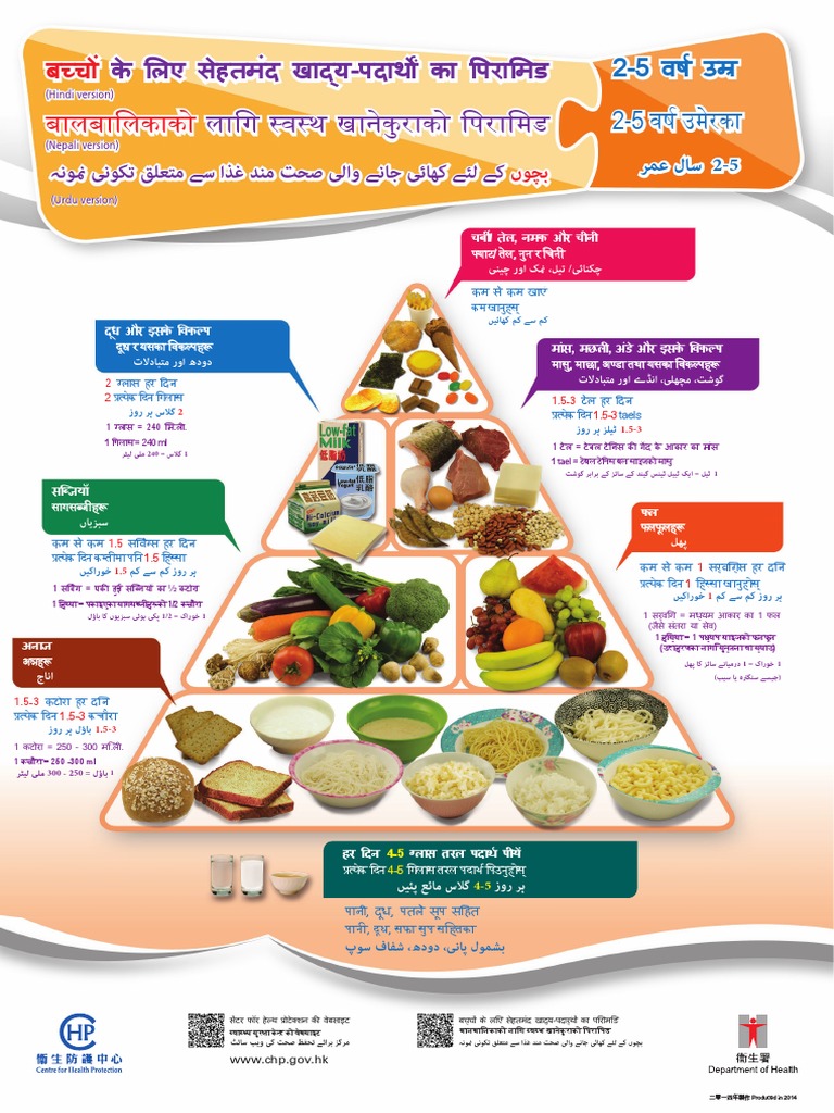 Food Pyramid 2-5 Hindi Nepali Urdu | PDF