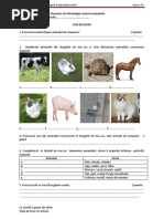 MATERIALE DIN LUT-cls 7 | PDF