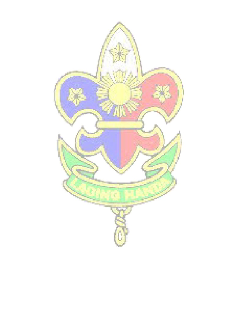 BSP Logo | PDF