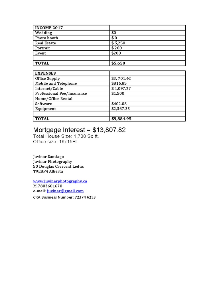 2017 Business Tax Return | PDF