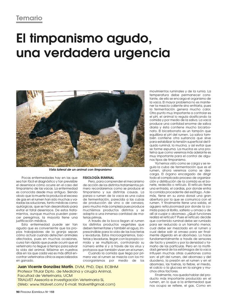 Manejo del timpanismo en vacas | PDF | Vacas | Biología