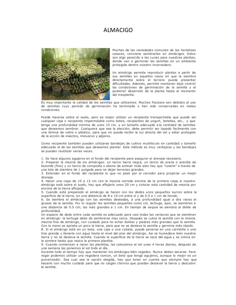ALMACIGO | PDF | Siembra | Botánica