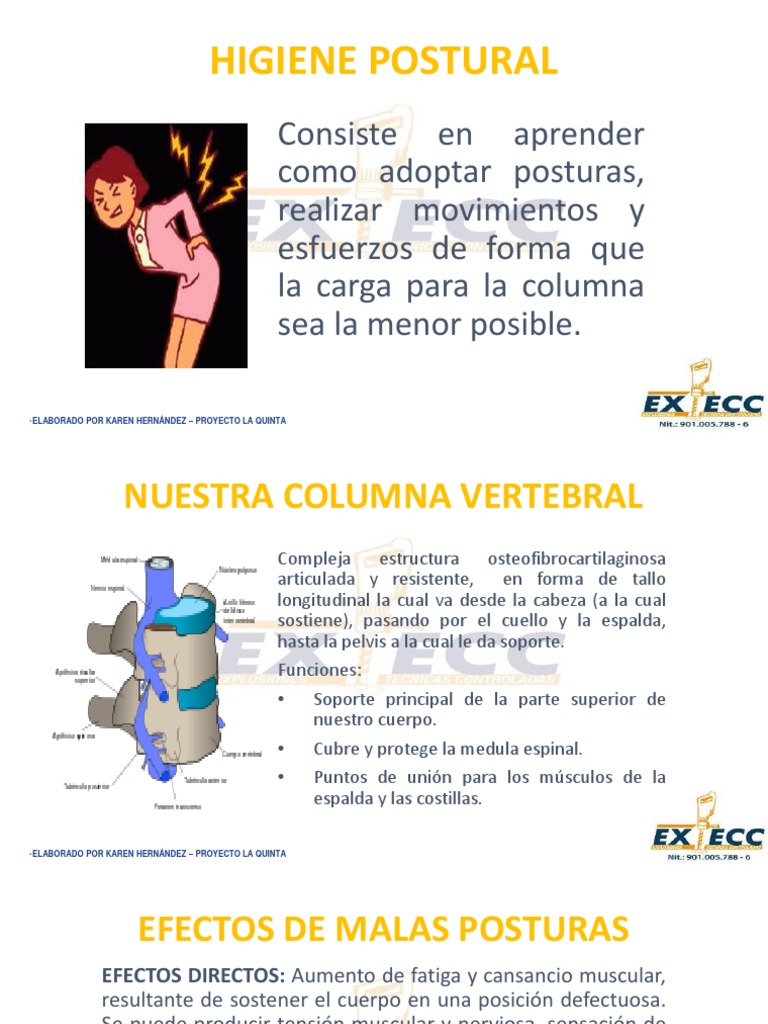 Higiene Postural 1212121 | PDF | La columna vertebral | Sistema esquelético