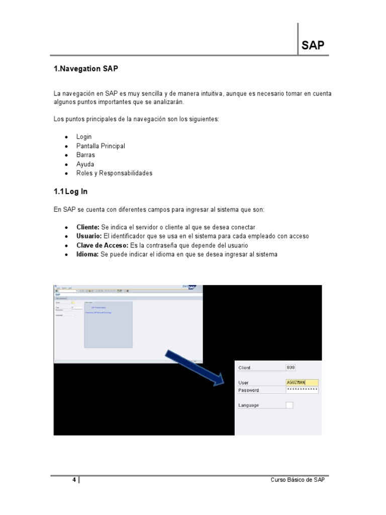 Sap Manual | PDF | Planificación | Gestión de recursos humanos