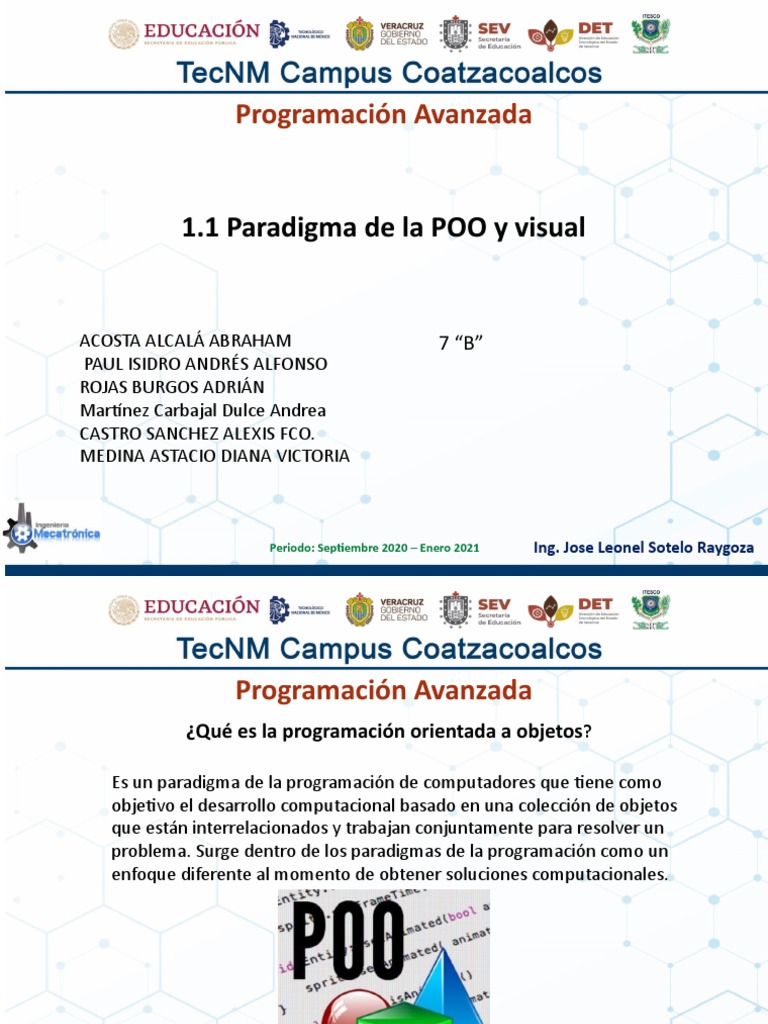1 1 Paradigma De La Poo Y Visual Pdf Objeto Informática Programación Orientada A Objetos