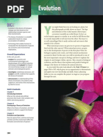 Mitosis Mover Webquest Bioman PDF | PDF | Mitosis | Chromosome