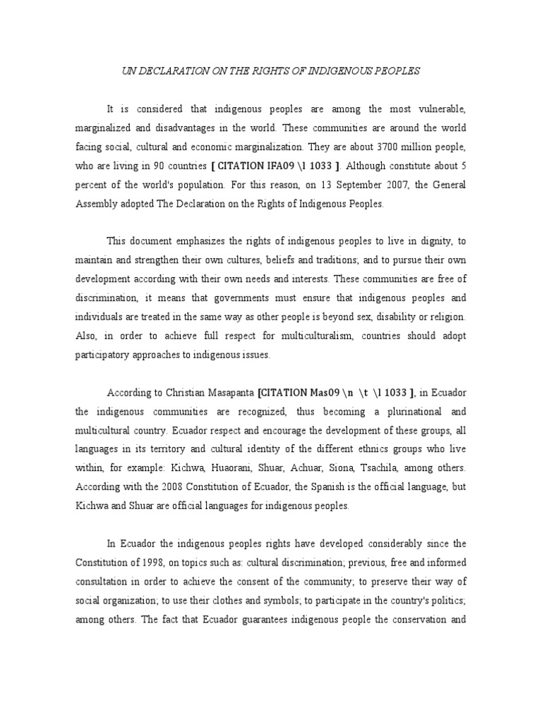 Un Declaration On The Rights of Indigenous Peoples | PDF | Indigenous ...