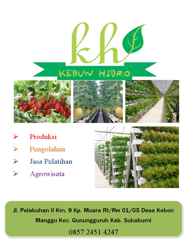 Business Plan Kebun Hidro (KH) | PDF