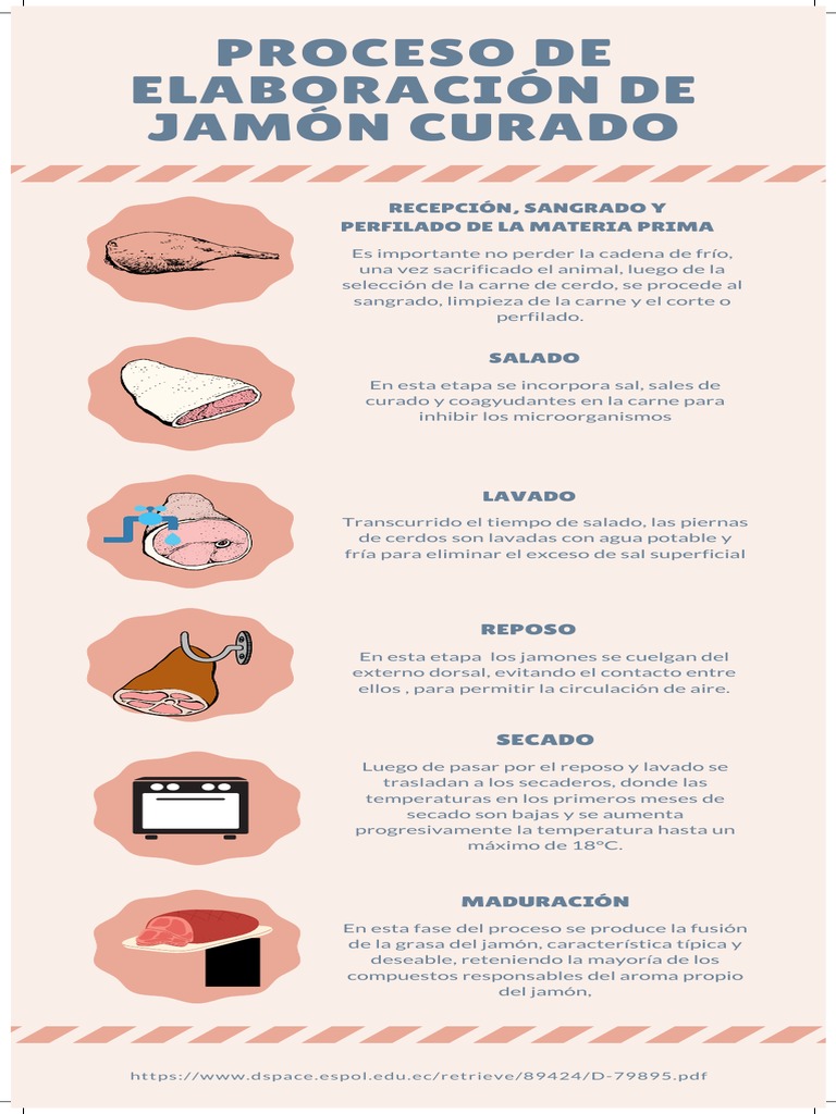 Proceso de Elaboración del Jamón Curado | PDF