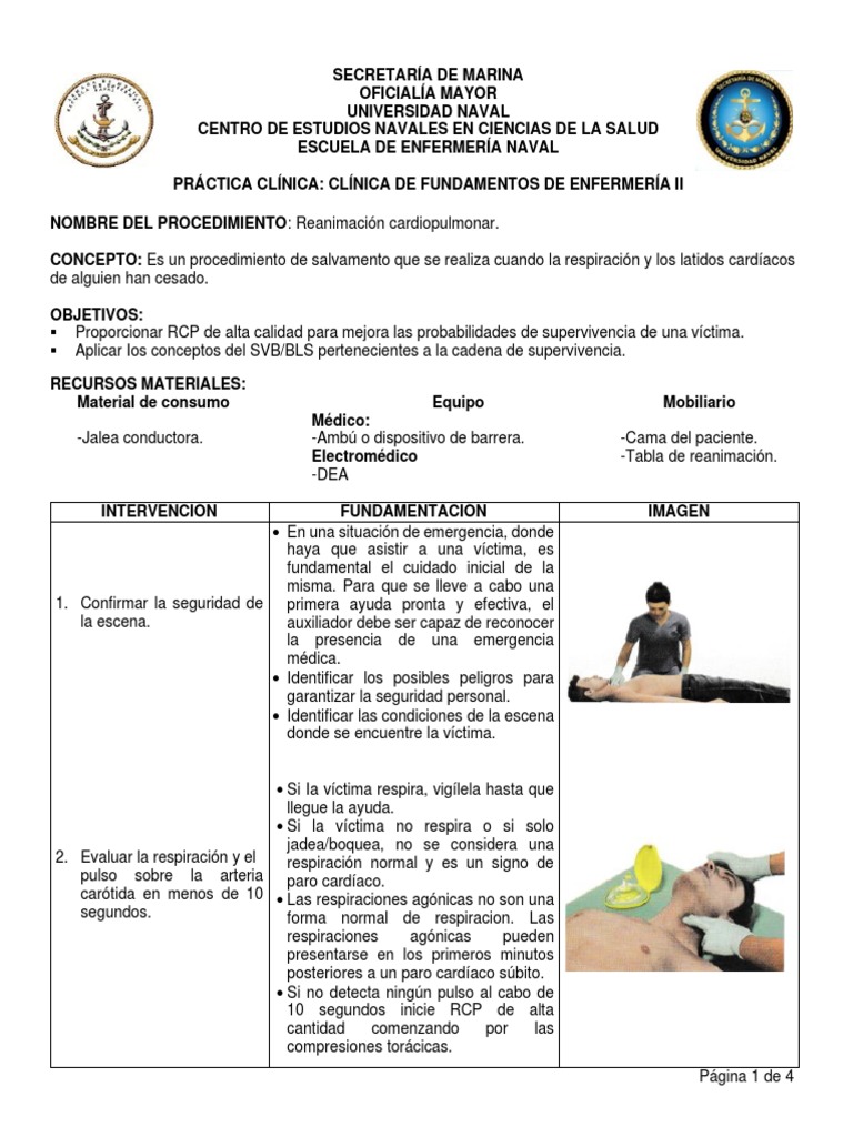 RCP-Cad. Perez Carreon PDF | PDF | Reanimación cardiopulmonar | Paro ...
