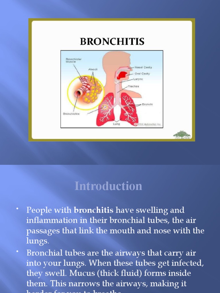 Bronchitis Pdf Bronchitis Cough