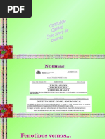 Tarjetas Grifols DG Gel-Solas | PDF | Tipo de sangre | Serología