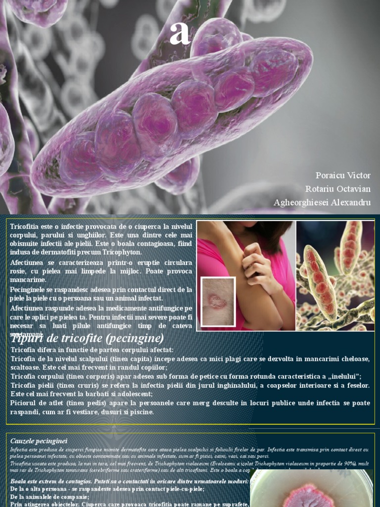 Tricofite | PDF
