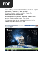 Explain Ingestion, Absorption, Assimilation, and Excretion S8LT | PDF ...