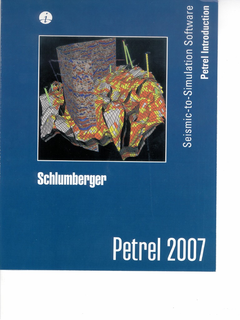 Petrel 2007 Geologist Course | PDF