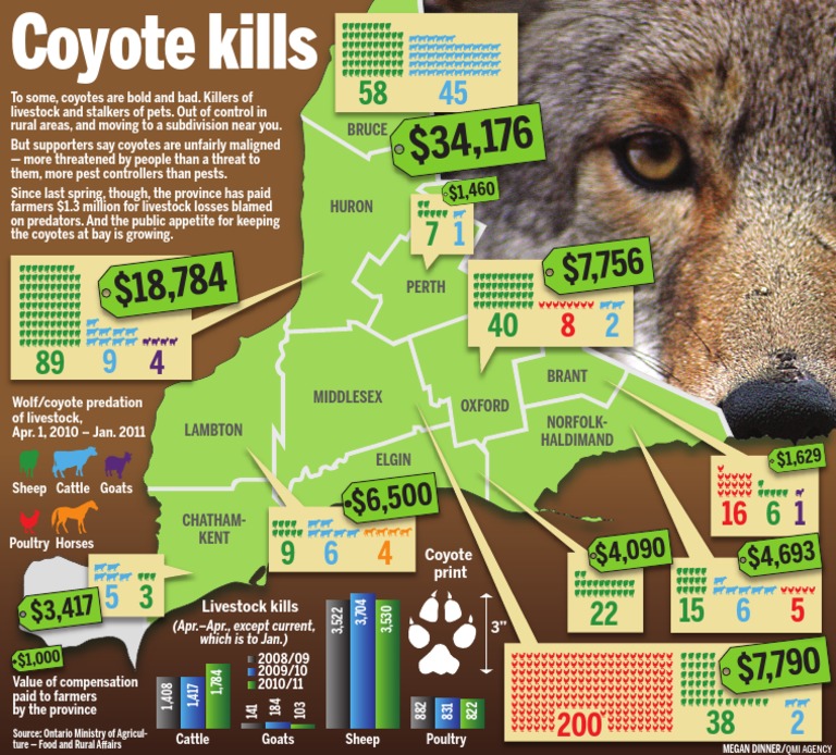 Coyote Map WEB | PDF | Coyote | Livestock