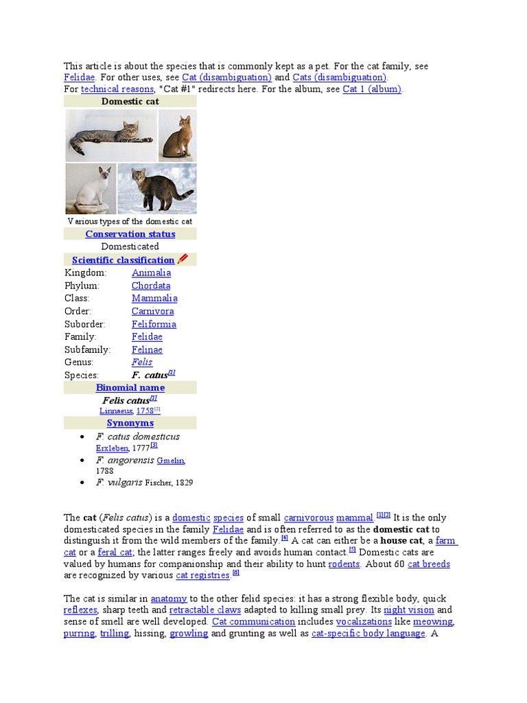 Domestic Cat: Conservation Status Scientific Classification | PDF ...
