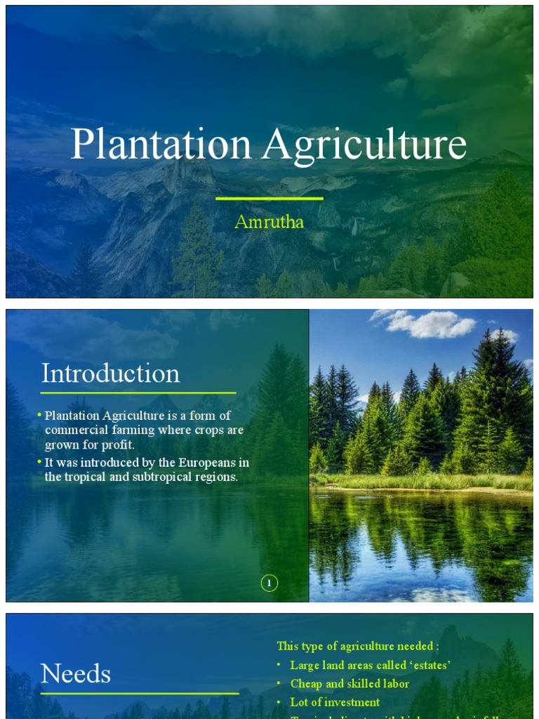 Overview of Plantation Agriculture | PDF | Technology & Engineering
