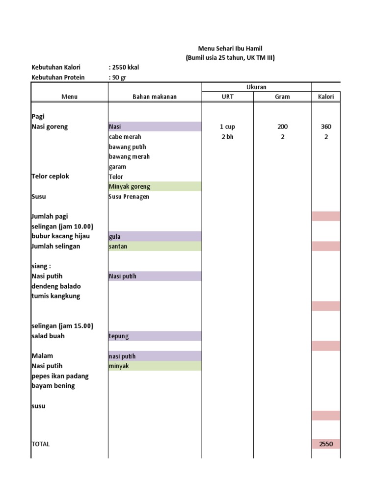 Contoh Menyusun Menu Sehari BUMIL TM IIII | PDF