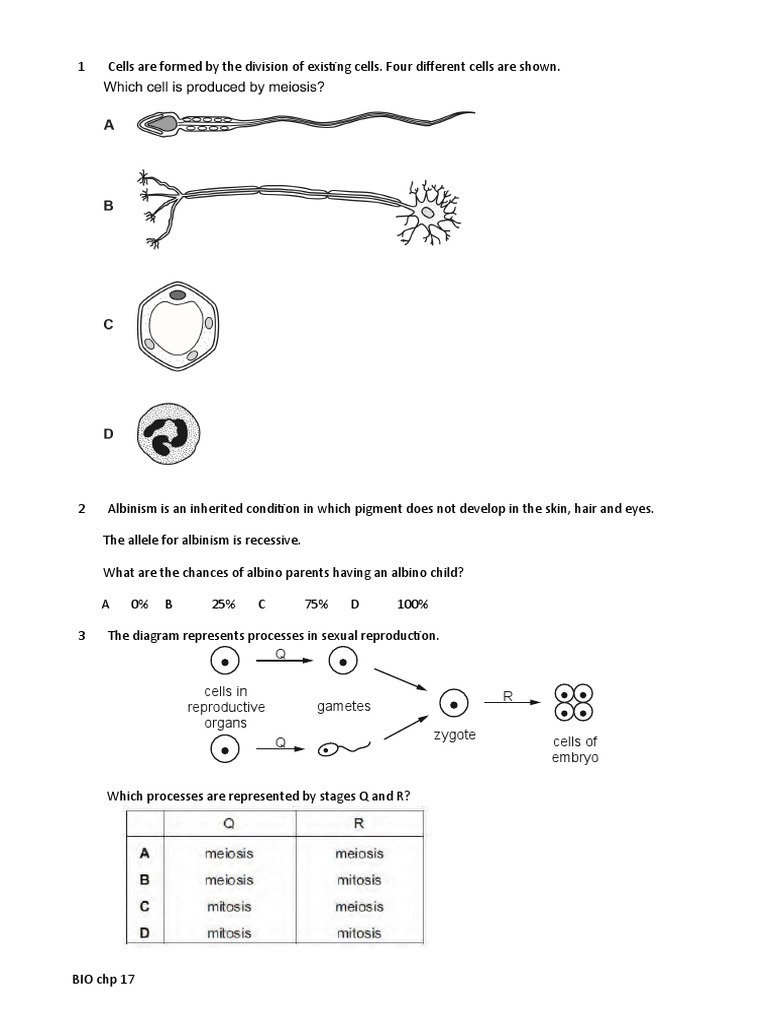 Understanding Genotypes and Inheritance | PDF | Zygosity | Genotype