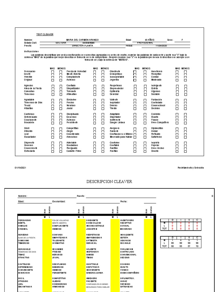 Cleaver Test | PDF | Persuasión | Creatividad