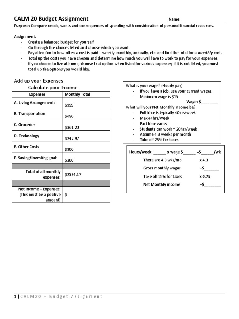 Budget Assignment | PDF
