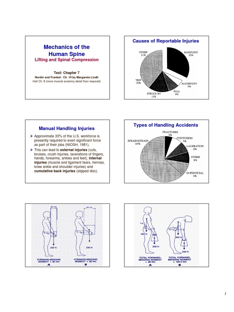 Spinal Mechanics and Lifting Injuries | PDF | Force | Vertebral Column