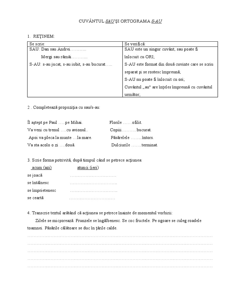 Fise Cu Ortograme | PDF