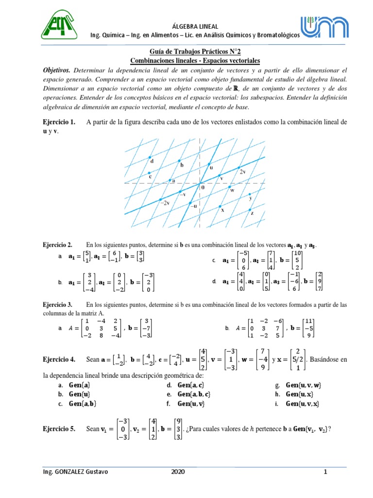 Guía N2 - Combinaciones Lineales y Espacios Vectoriales2020 | PDF | Espacio vectorial | Vector ...