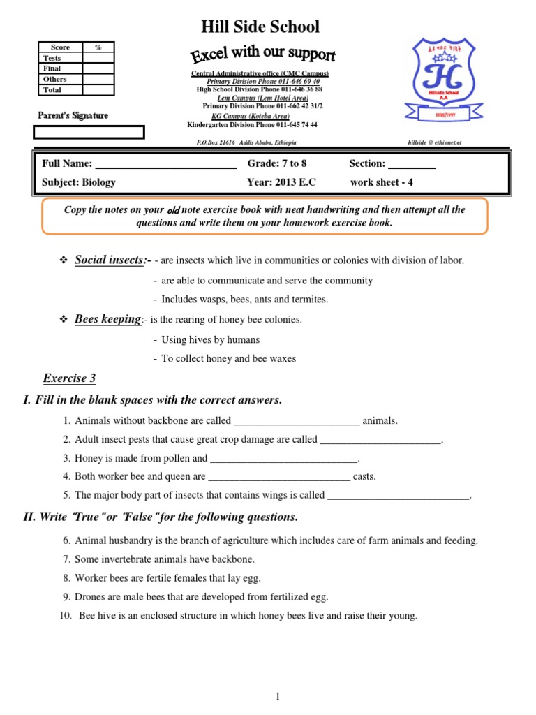 MIT Muzaffarpur Holiday List 2025 | PDF | Bees | Honey Bee