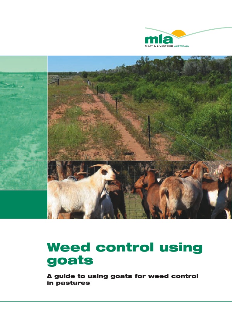 Weed Control Using Goats | PDF | Goat | Grazing