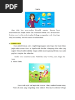 Berikut Adalah Beberapa Jenis Cuaca Beserta Gambarnya | PDF