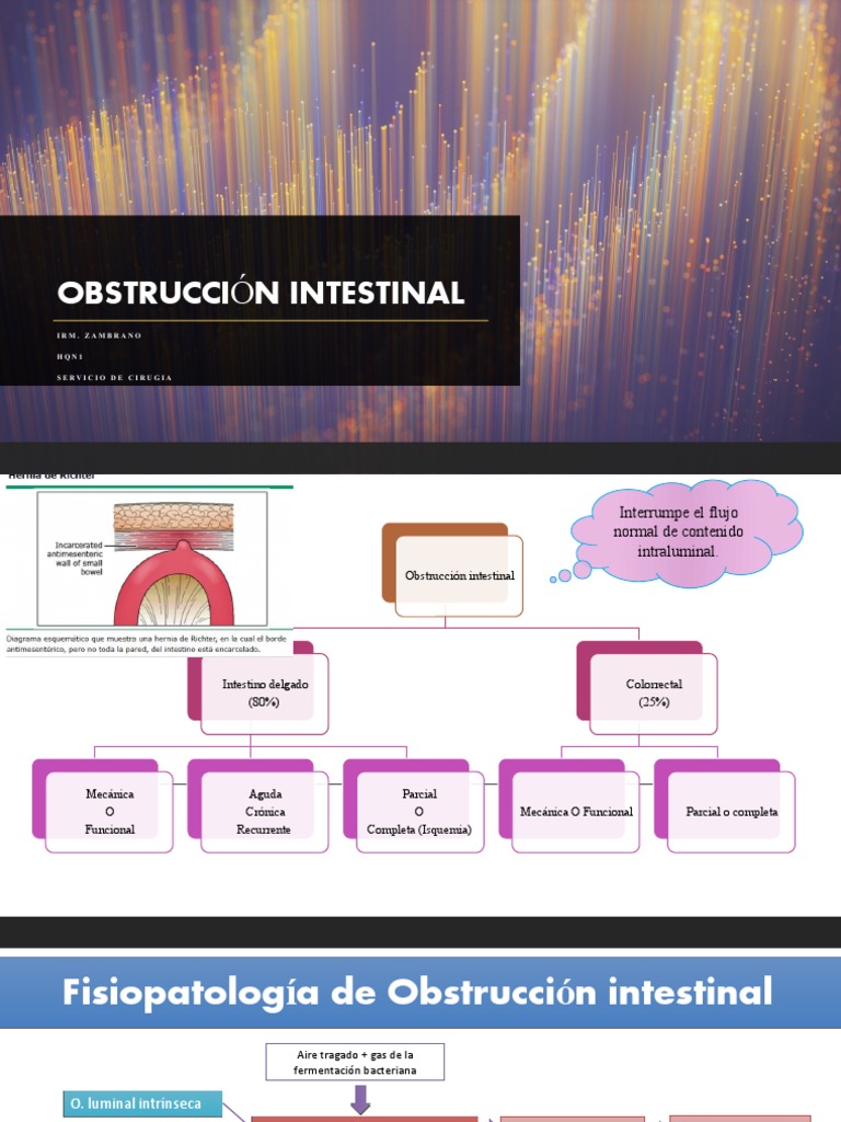 Guía Completa sobre Obstrucción Intestinal | PDF | Abdomen | Cáncer ...