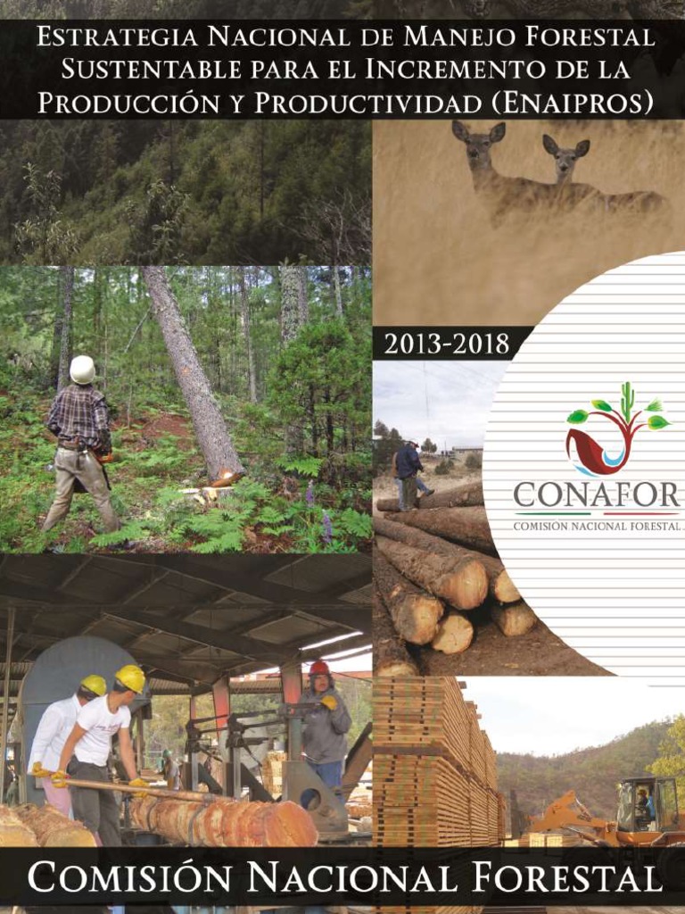 Estrategia Nacional de Manejo Forestal Sutentable para El Incremento de ...
