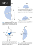 Goniometry of Elbow | PDF