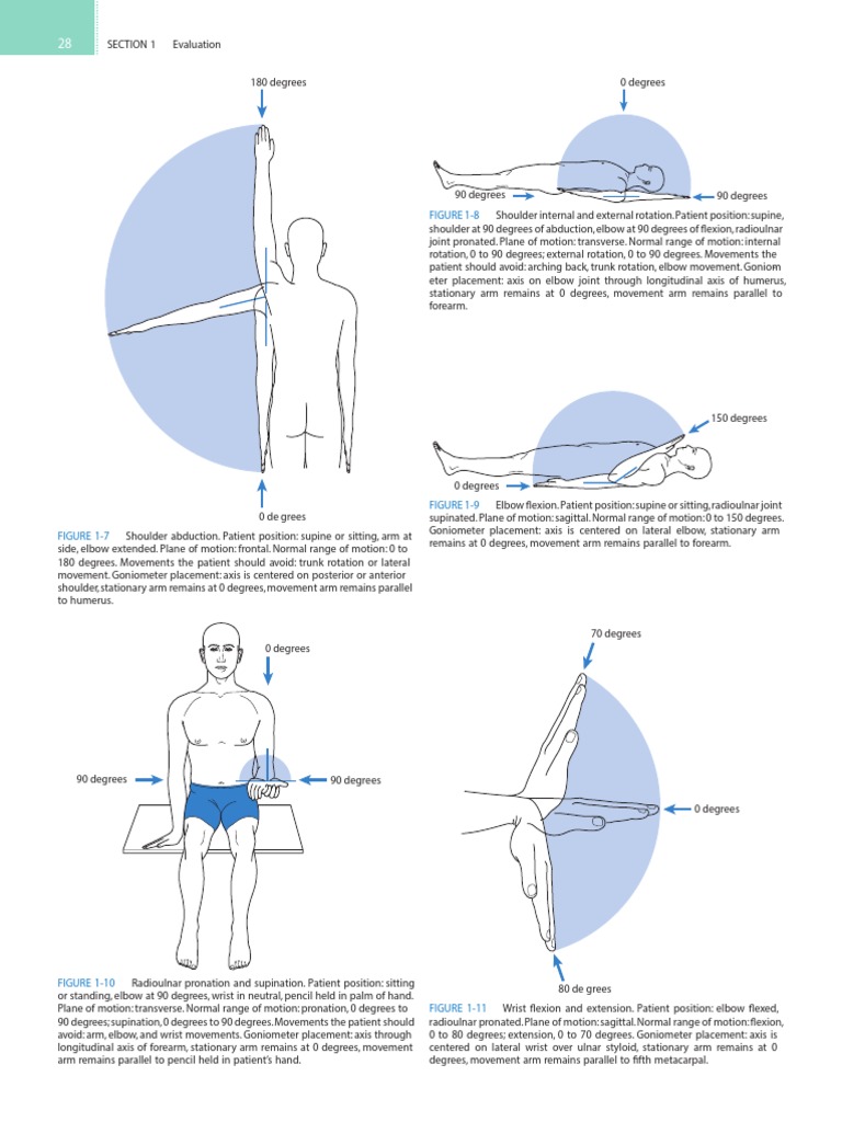 Shoulder Abduction Range Of Motion