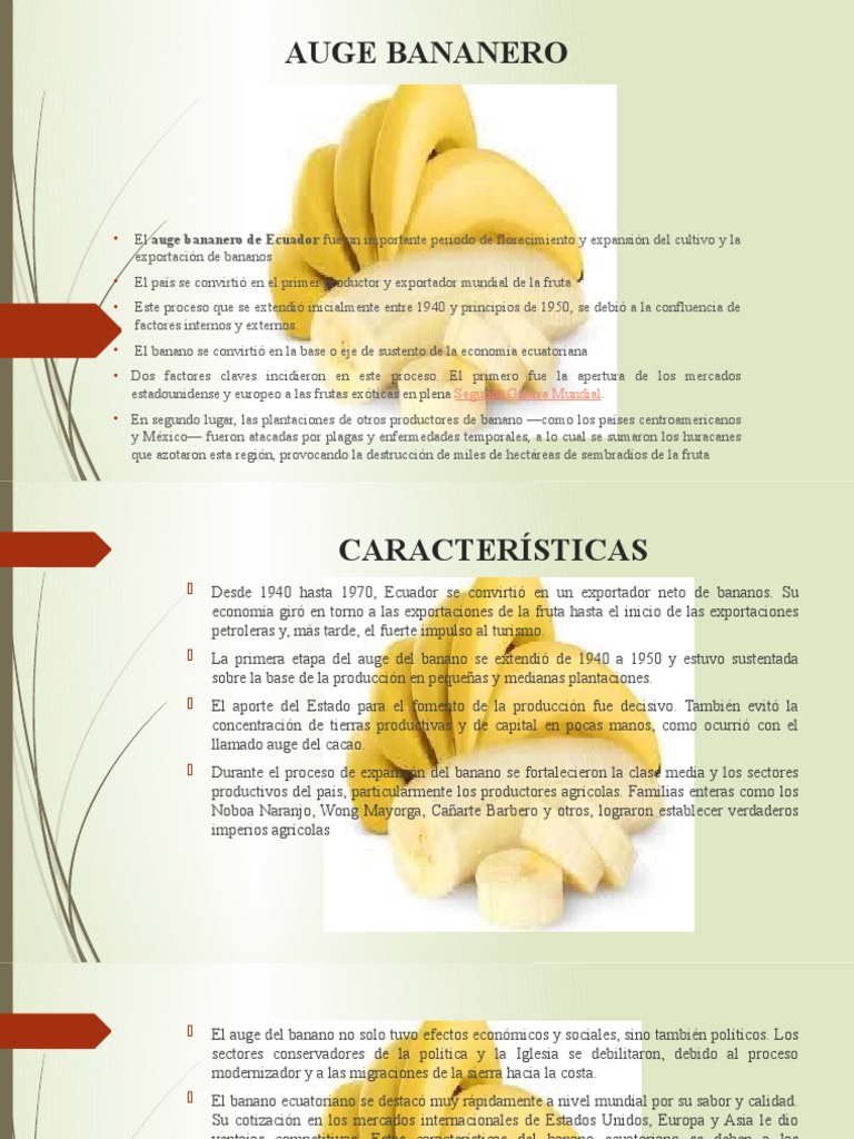 Auge Bananero en Ecuador: Causas y Efectos | PDF | Plátano | Ecuador