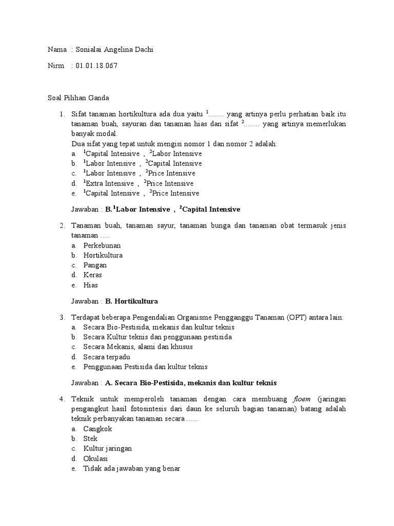 Soal Pilgan Dan Essay | PDF