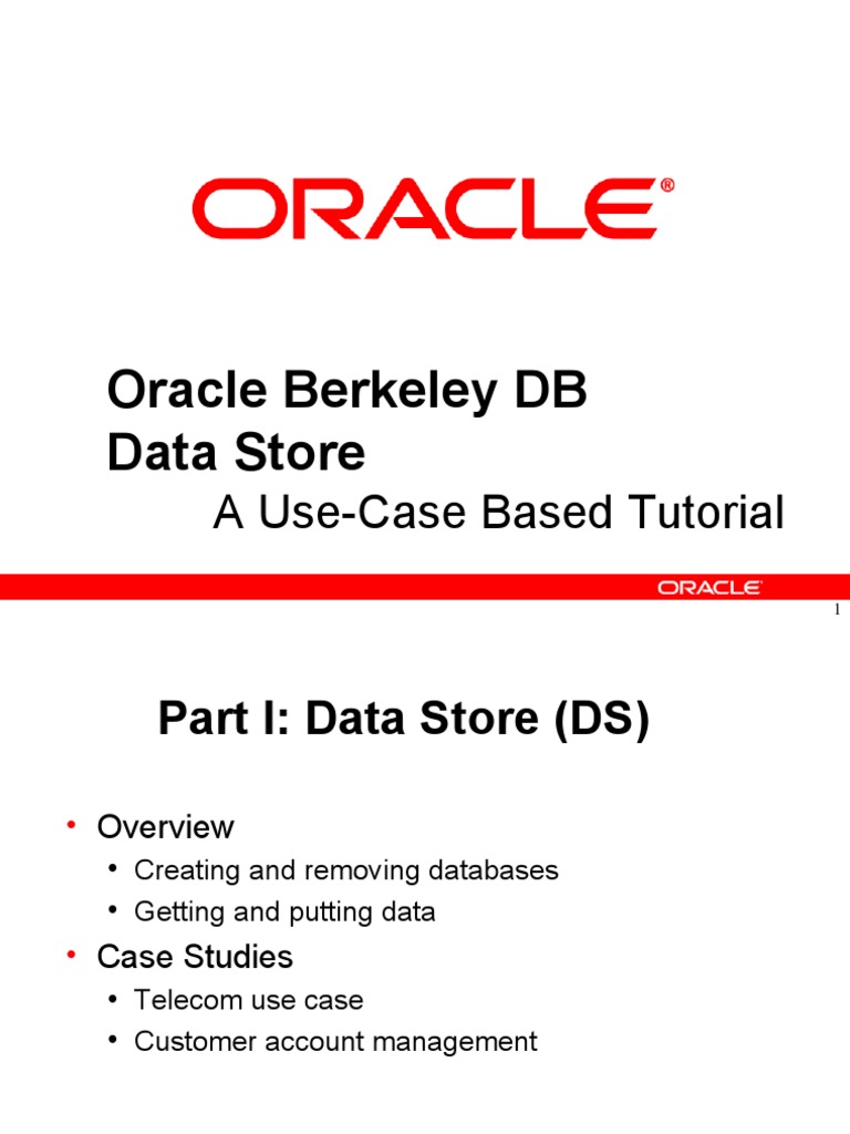 Oracle Berkeley DB Data Store: A Use-Case Based Tutorial | PDF | Database Index | Databases