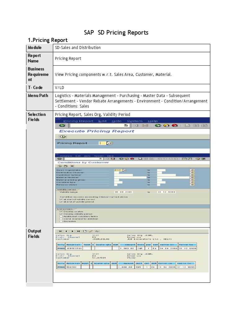 SAP SD Pricing Reports | PDF