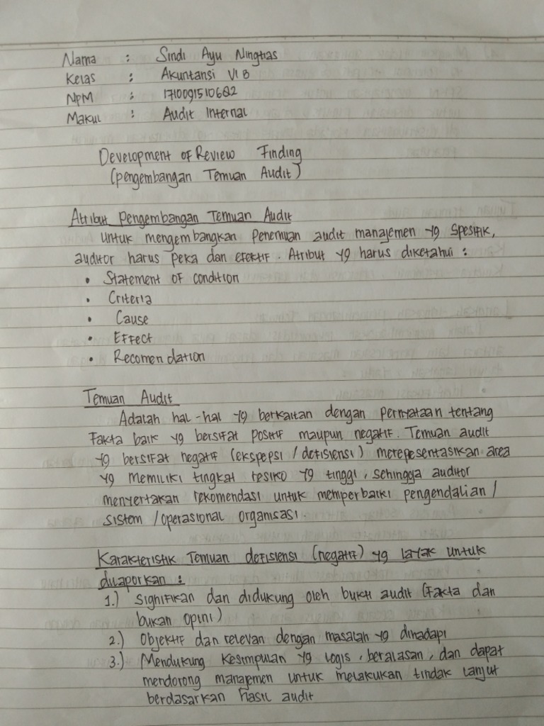 Audit Internal (Temuan Audit) | PDF